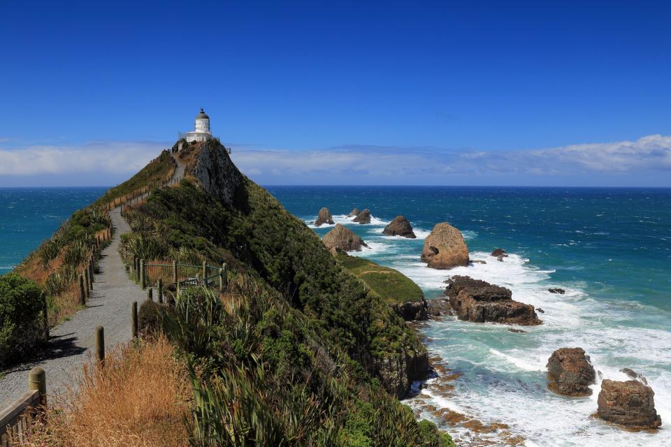 Nugget Point | Shutterbug